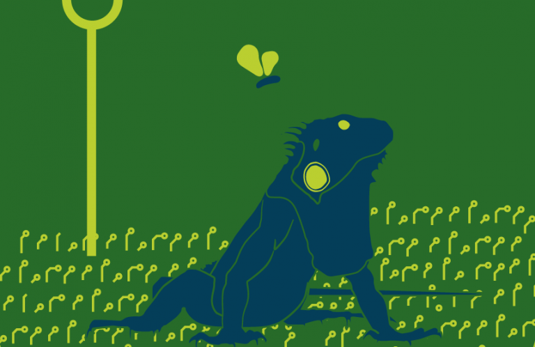 SOMMERLOCH? Weit gefehlt! - eguana